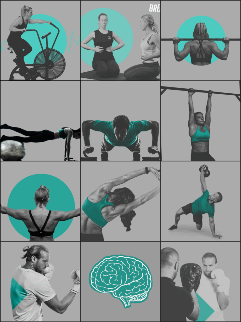 Online CPD Sale | Australian Combat Exercise